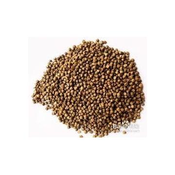 Quality SS201 Fish Feed Extruder Floating Fish Pellet Making Machine for sale