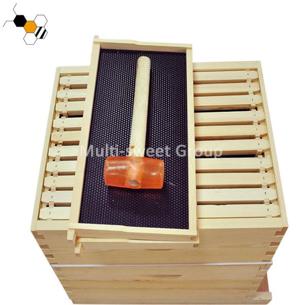 Quality Langstroth Beehive Kit Wholesale Bee Hive Apiculture Tools for sale