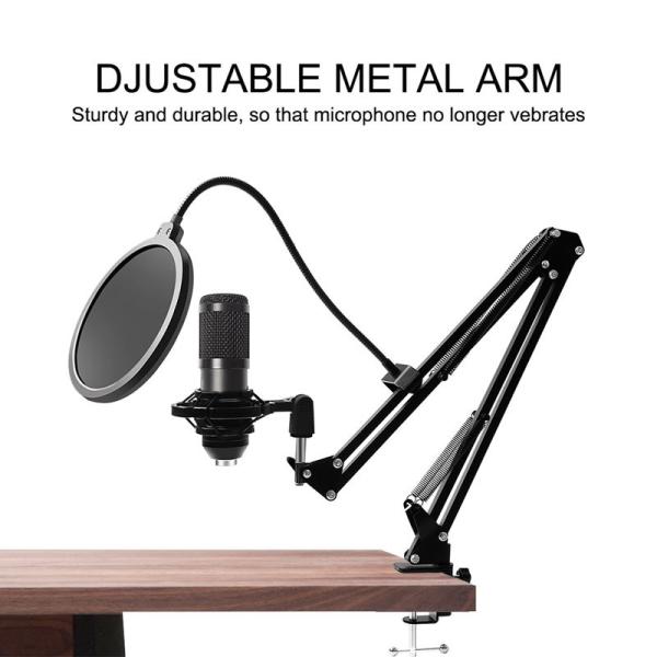 Quality Two Screen POP Filters 20HZ Usb Microphone And Stand for sale