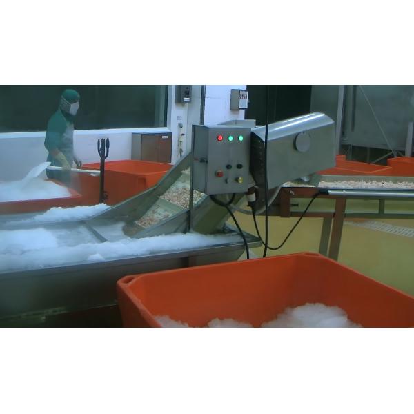 Quality ISO 2.23KW Commercial Fish Processing Machine , Anti Corrosion Shrimp Cooked for sale