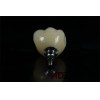 china China Dental Lab Ceramic Zirconia Screw Retained Dental Implant Single Tooth