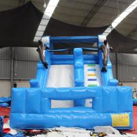 Quality Unisex Inflatable Dry Slide Customized Size Inflatable Castle Slides for Water for sale