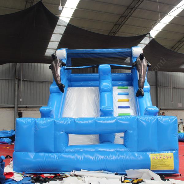 Quality Unisex Inflatable Dry Slide Customized Size Inflatable Castle Slides for Water Play for sale