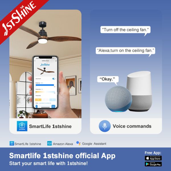 Quality New Arrival DC Motor 3 Solid Blades Decorative Led Ceiling Fan With Light for sale