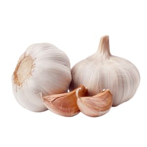Quality Fresh Garlic Bulk from China Farm Direct Supply White Garlic for sale