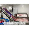 Quality Industrial Turn Key HPP Apple Juice Production Line for sale