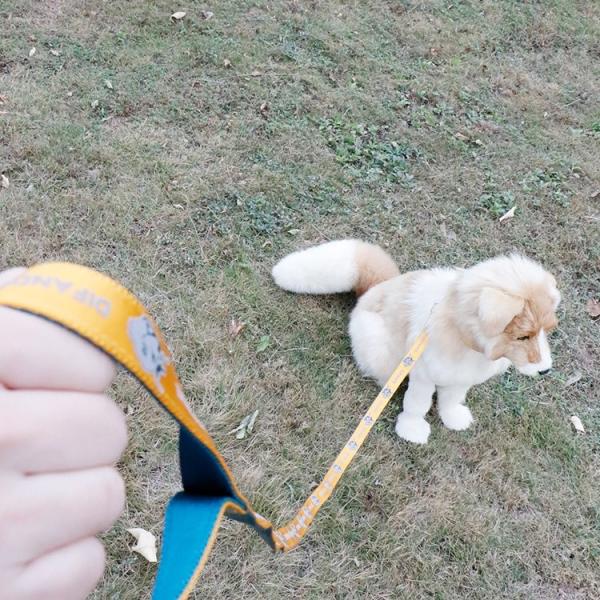 Quality Soft Universal Harness Leash Set Custom Luxury Leather Dog Collars for sale