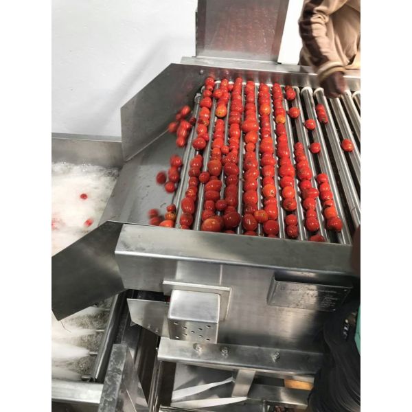 Quality Low Energy Tomato Processing Machine Forced Circulation Evaporator 200KG Weight for sale