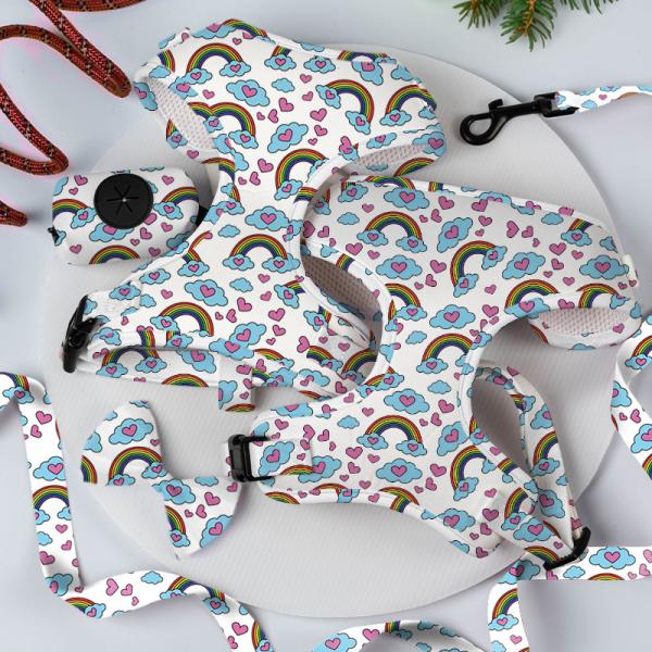 Quality Polyester Dog Leash Harness Set Personalized Dog Collar And Lead Set for sale