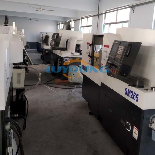 Quality Swiss Type Cnc Lathe Machine Ak164 Precision Fanuc Controller 4 Axis Horizontal for sale