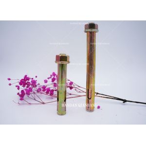 Quality DIN BSW ANIS Standard Expansion Concrete Sleeve Anchors With Hex Nut M8-M24 for sale