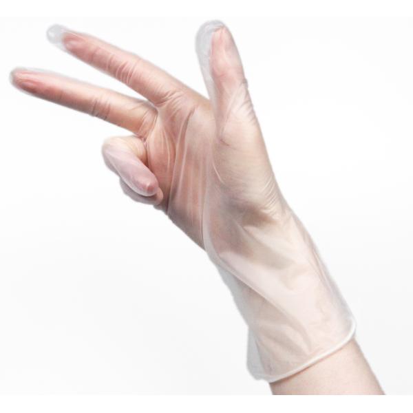 Quality 9 Inch Powder Free Disposable Vinyl Gloves For Foodservice for sale