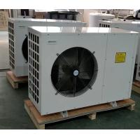 Quality 10KW LOW Ambient Heat Pump R32 Idea Temperature For Heating Fixed Type for sale
