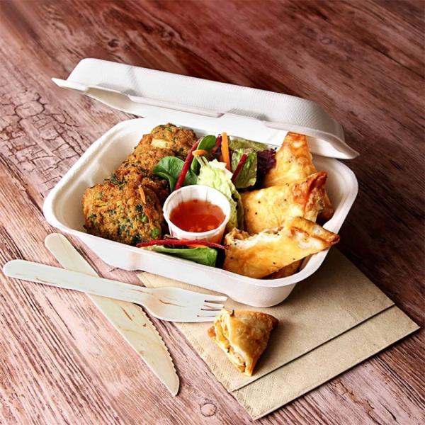 Quality 600ml 1000ml Dinnerware Compostable Party Tableware Bagasse Pulp Lunch Bento Box for sale