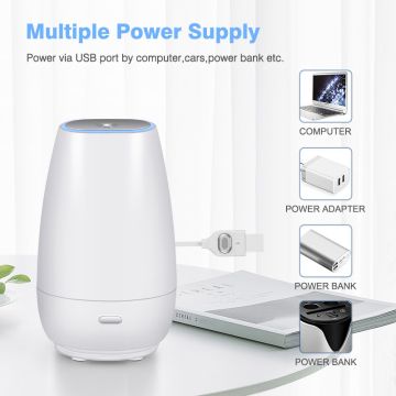 Quality Usb Household Double Switch Air Purifying Aroma Diffuser for sale