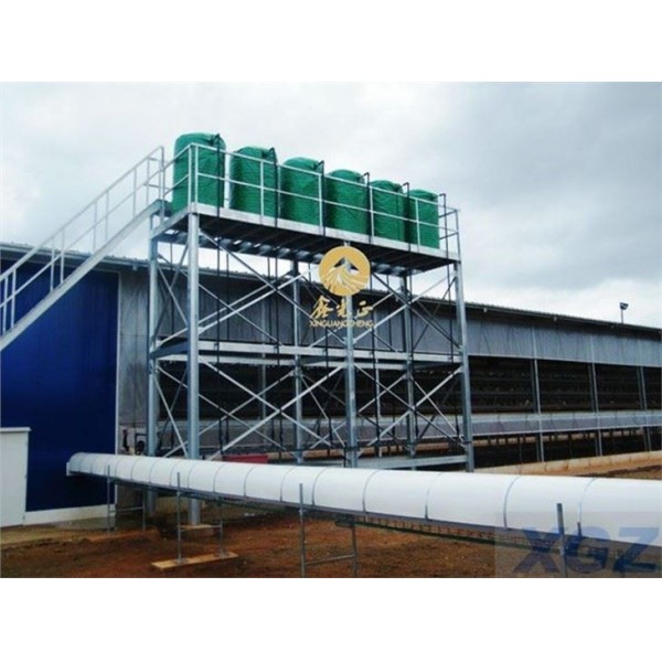 Quality steel layer chicken house for sale