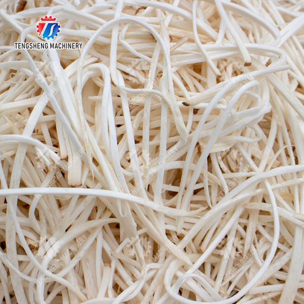 Quality Carrot radish Ginger Shredding machine Bamboo shoots Cutting processing for sale