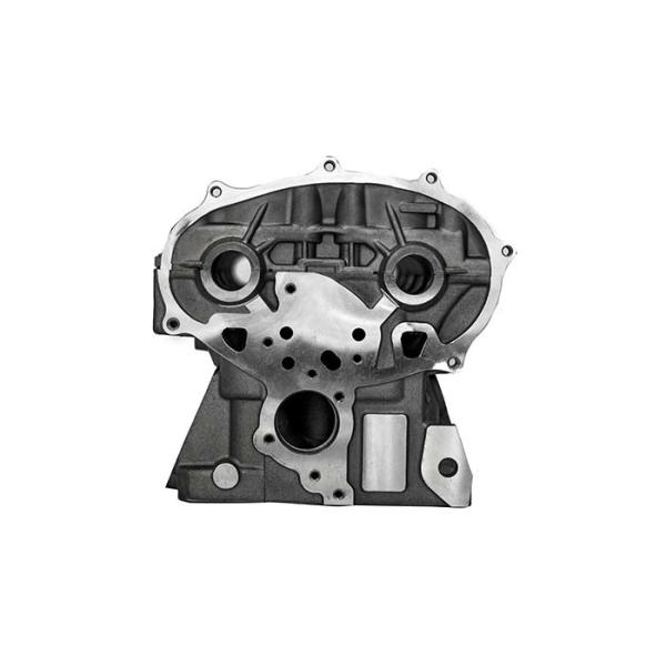 Quality Car Engine Cylinder Head For AUDI AXX BPY BWT for sale