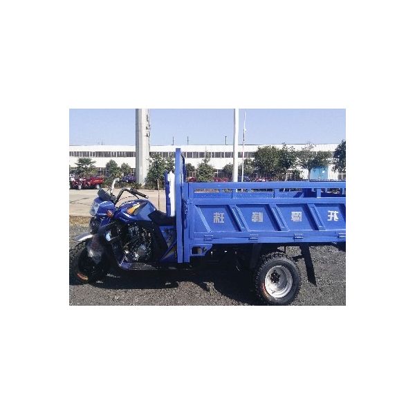 Quality Gasoline Oil Pressure Disc 250CC Cargo Tricycle for sale