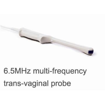 Quality Portable Pregnancy Ultrasound Scanner with Abdominal Convex Transvaginal for sale