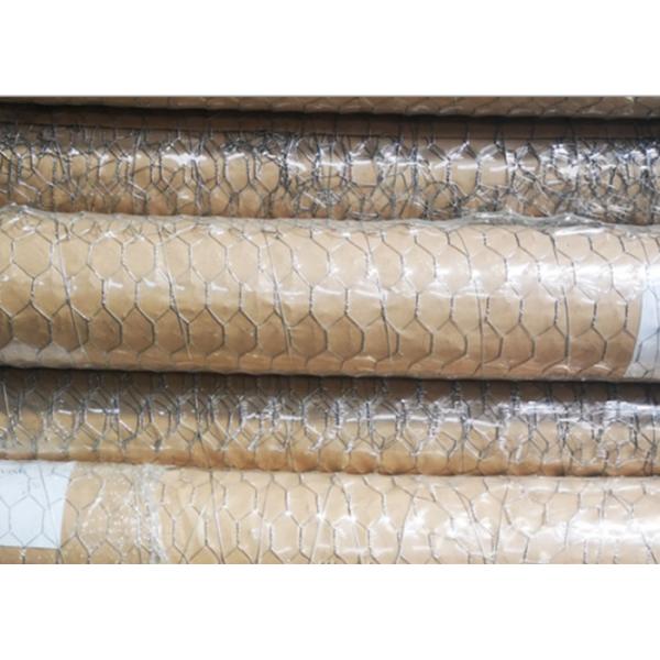 Quality Hexagonal Galvanized Chicken Wire Mesh BWG 12 3/4" for sale