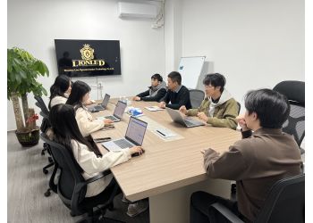 China Factory - LIONLED USA INC