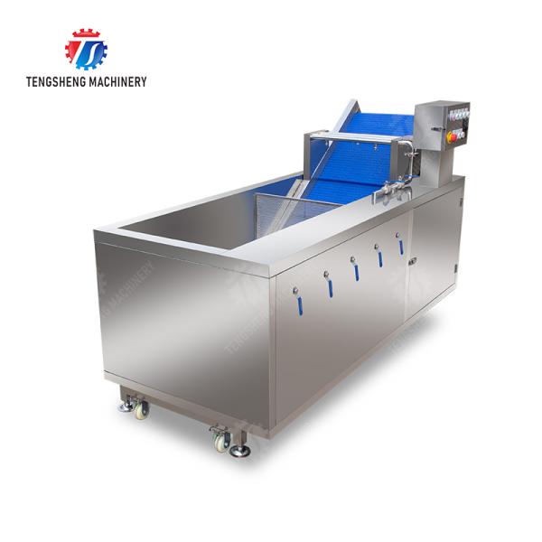 Quality Bubble washing vibration air drying production line Orange Vegetable Herbs Fruit for sale