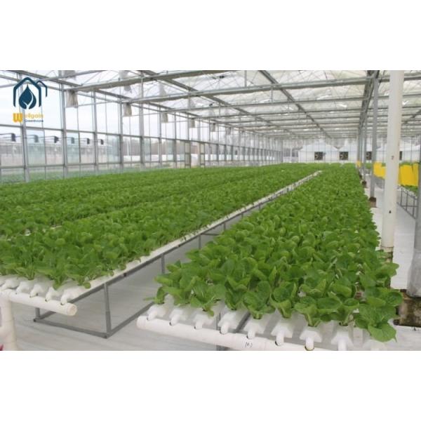 Quality Robust Lettuce Hydroponic Systems UV Resistant NFT Growing System With PVC Tube for sale