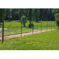 Quality Vineyard Studded Steel T Posts 1.33 Lb Per Foot For Fence for sale