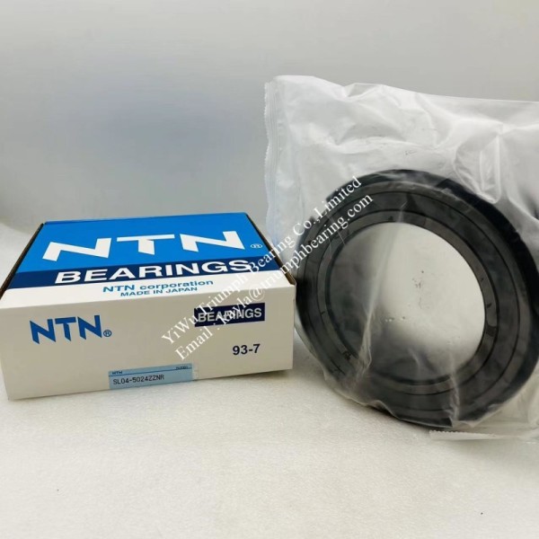 Quality NTN Double Row Cylindrical Roller Bearing SL04 5024ZZNR , SL04-5024ZZNR for sale