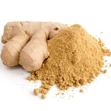 Quality Air Dried Dehydrated Ginger Extract Powder 100 - 120 Mesh for sale