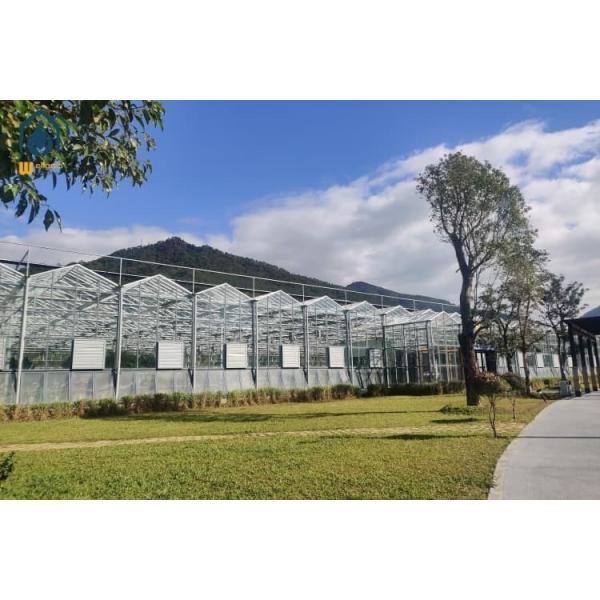 Quality Turnkey Multi Span Greenhouses Agricultural Tomato Plant Greenhouse Large Size for sale