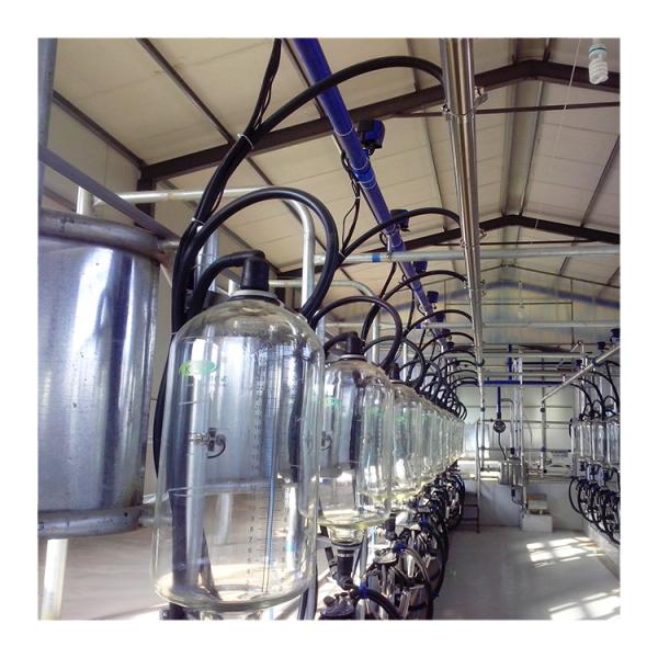 Quality Glass Jar Herringbone Type Cow Milking Parlour Automatic Milking System for sale