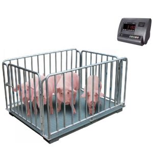 Quality Electronic Floor Weighing Scale for Animals 1M 2t Pig Scale 3t Sheep Cow for sale