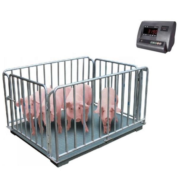 Quality Electronic Floor Weighing Scale for Animals 1M 2t Pig Scale 3t Sheep Cow for sale