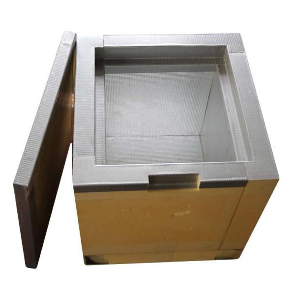 Quality 42L Insulated Bio Medical Cool Box Blood Transportation Bag for sale