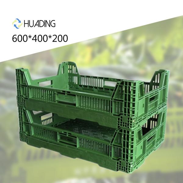 Quality Mesh Design Foldable PP Basket for Recyclable and 100% Recyclable Eco-Friendly Crate for sale