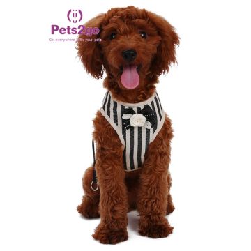 Quality Remote Dog Martingale Remote Control Lcd Training Collar Gentle Lead for sale