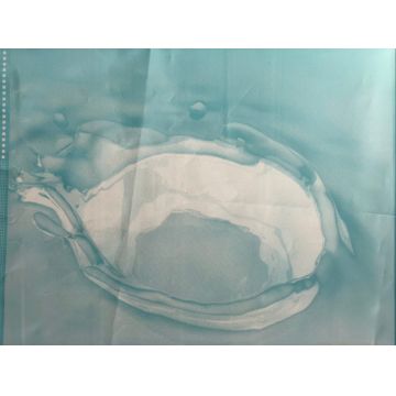 Quality Textile Flatbed Engraving Machine System , Digital Flatbed Screen Engravers for sale