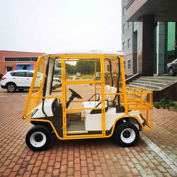 Quality CAll Terrain Mini 2 Seater Golf Cart 2 Seats Customized for sale