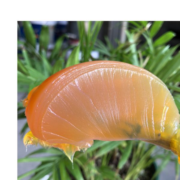 Quality Composite Anhydrous Calcium Sulfonate Lubricating Grease for Valve Fitting Applications for sale