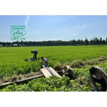 Quality DN300 UV CIPP Lining NO Digging UV Liner For Small Diameter Pipe To Cure 4mm for sale