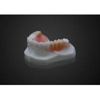 Quality Lightweight Comfortable Valplast Partial Denture Easy Cleaning High Transparency for sale
