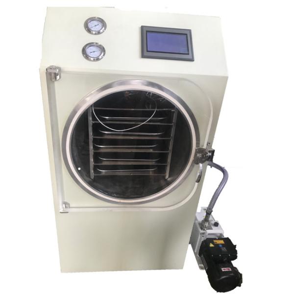 Quality Small Automatic Freeze Dryer , Fruit Vacuum Freeze Dryer Convenient Operation for sale