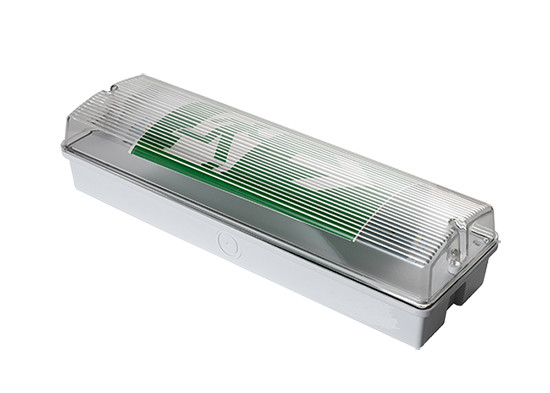 Quality Wall Surface Mounted Outdoor LED Rechargeable Emergency Light Fixtures CE RoHS for sale