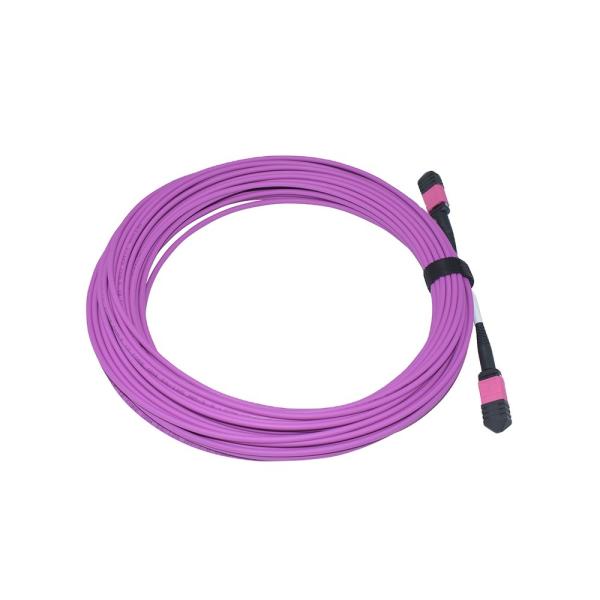 Quality MPO To MPO Female Fiber Optic Patch Cable OM4 50 / 125um LSZH Multimode for sale