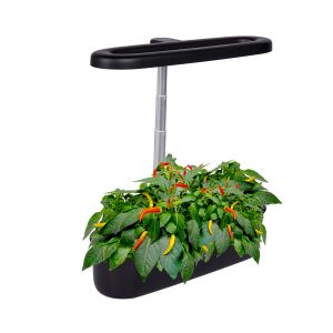 Quality ABS Aluminum Hydroponic Grow Light Auto Watering AC240V No Mess ETL for sale
