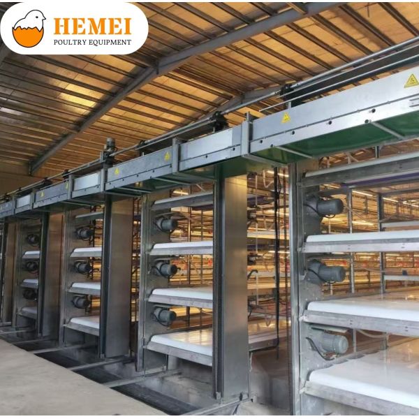 Quality Multi Tier Automatic Harvesting Broiler Cage for sale