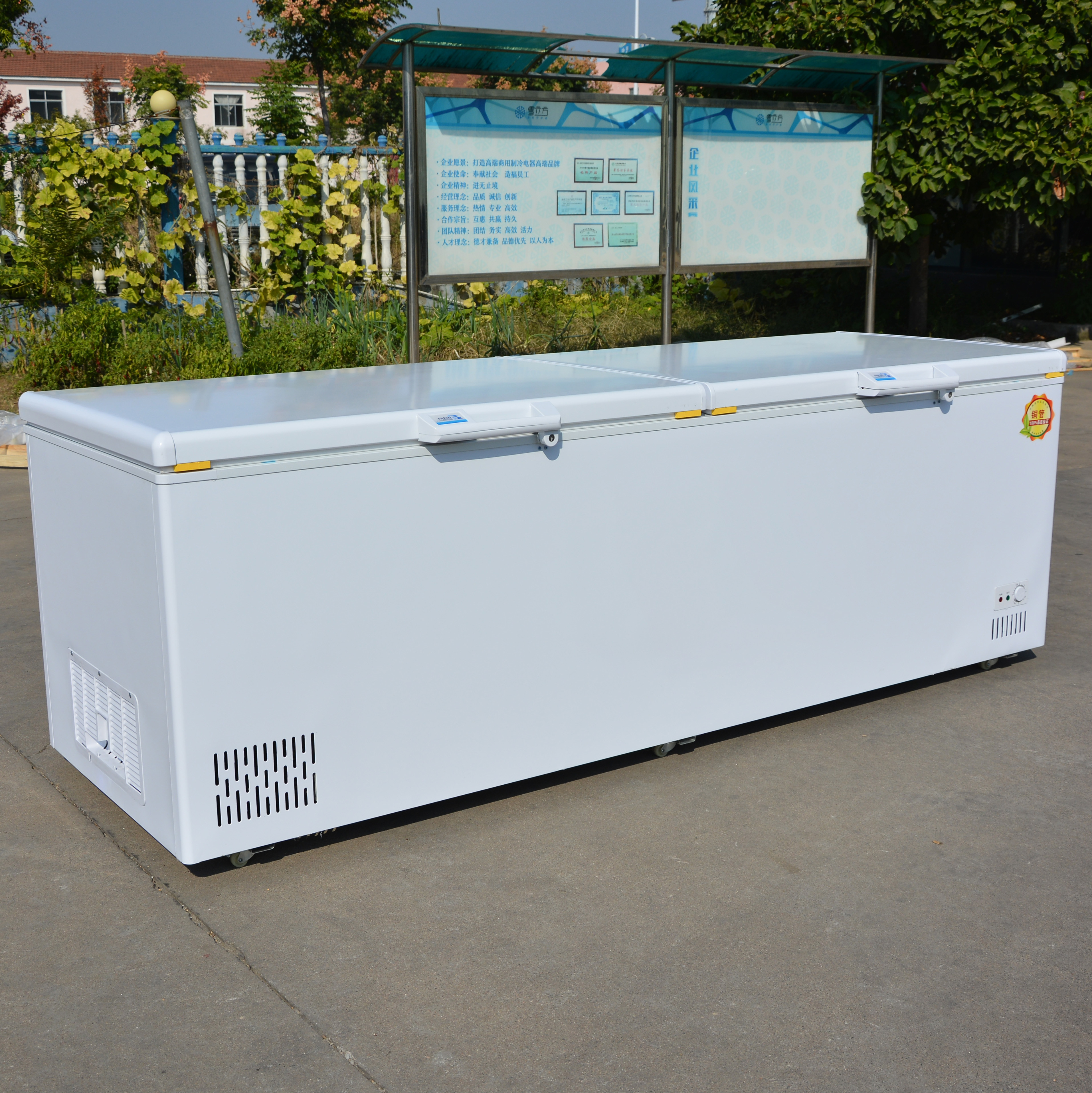 Quality Customer Country Standard Plug Large Capacity Horizontal Double Door Chest for sale