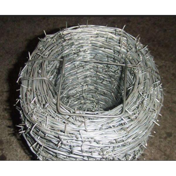 Quality 14 Gauge galvanized Barbed Steel Wire For Highway Protection for sale